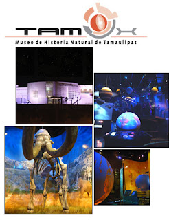 mi ciudad: museo tamux